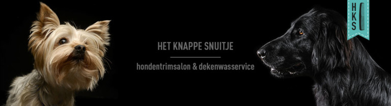 Het Knappe Snuitje - Hondentrimsalon Etten-Leur